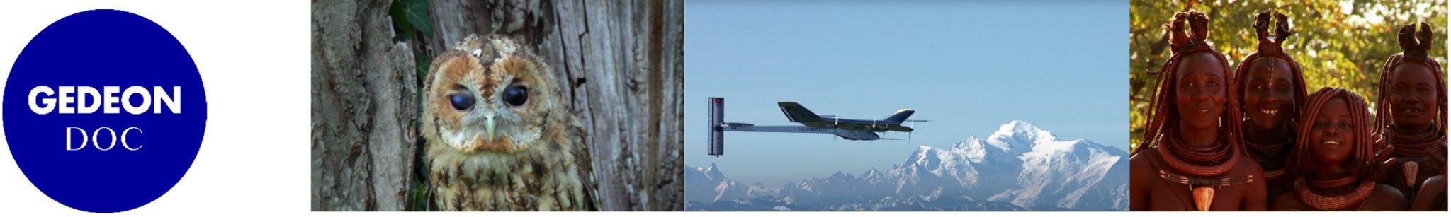 Gedeon Doc Gedeon Media Group